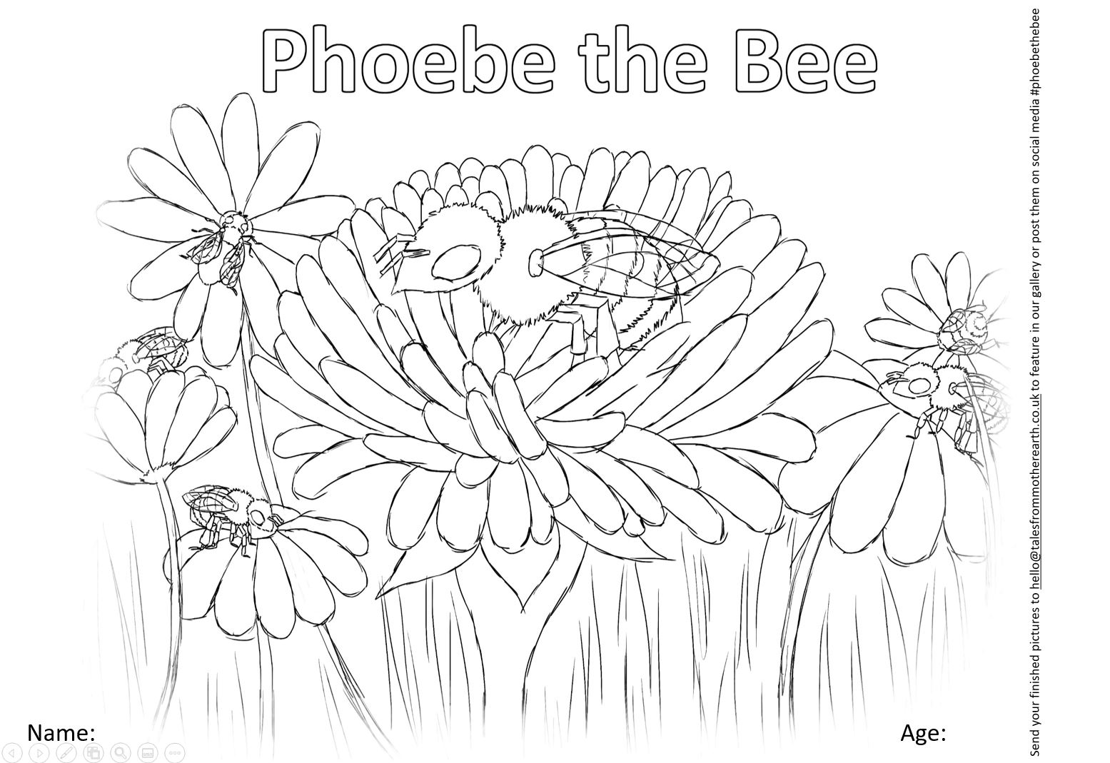 Colour in Phoebe the Bee #phoebethebee : Tales from Mother Earth