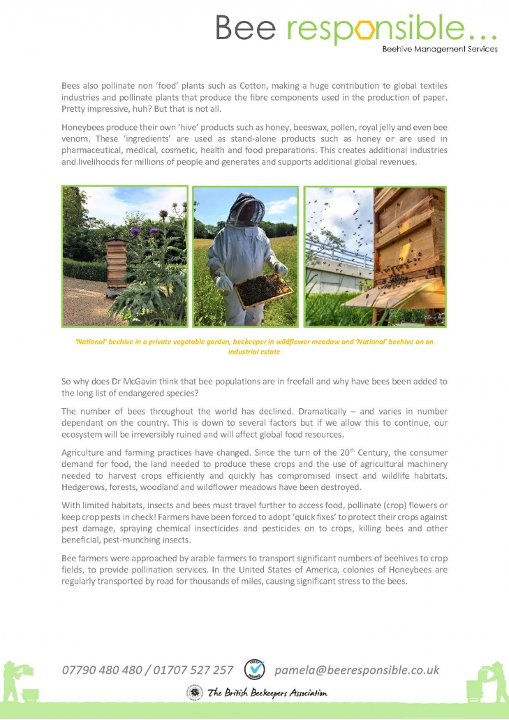 Brilliant Bees - Pamela from Bee Responsible discusses : Tales from ...