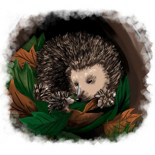 Spike the Hedgehog Storybook