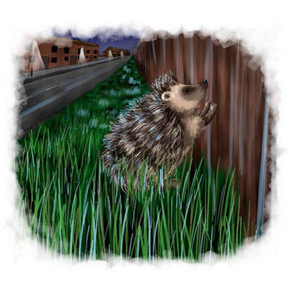 Spike the Hedgehog Storybook