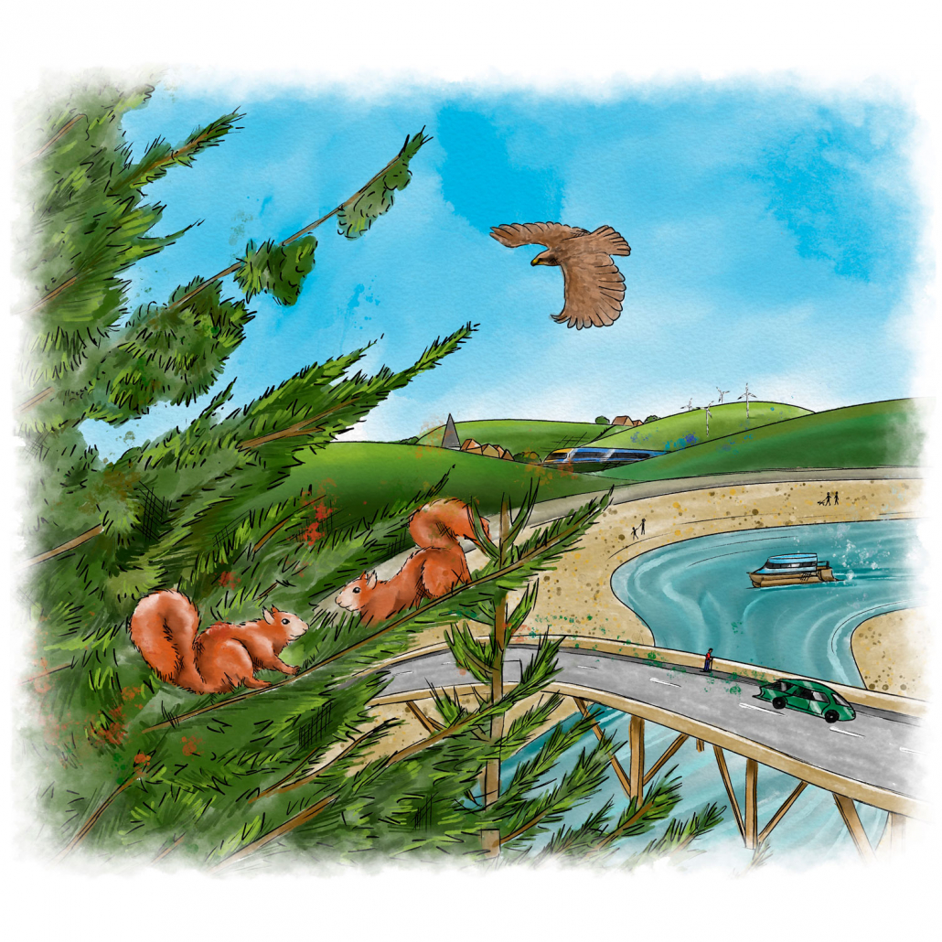 Sitka Spruce the Amazing Timber Tree : Tales from Mother Earth